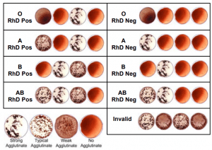 Unique solutions - Eldon Biologicals A/S
